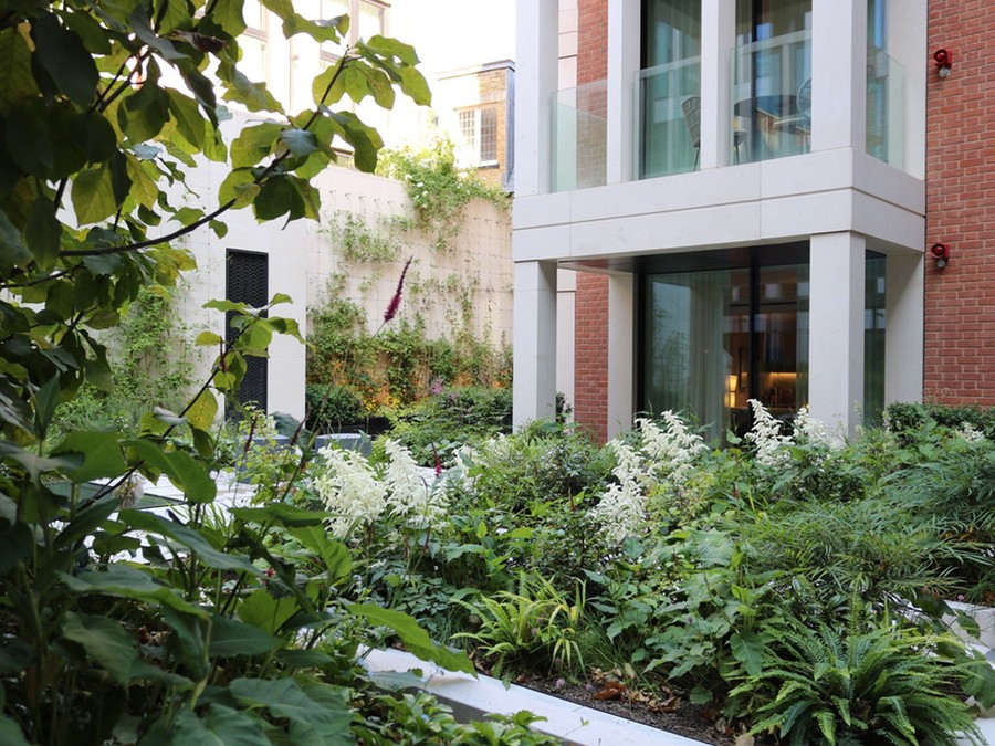 Click Here to Listen